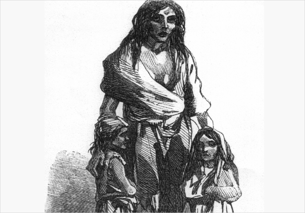 Hunger on Trial: An Activity on the Irish Potato Famine and Its Meaning ...