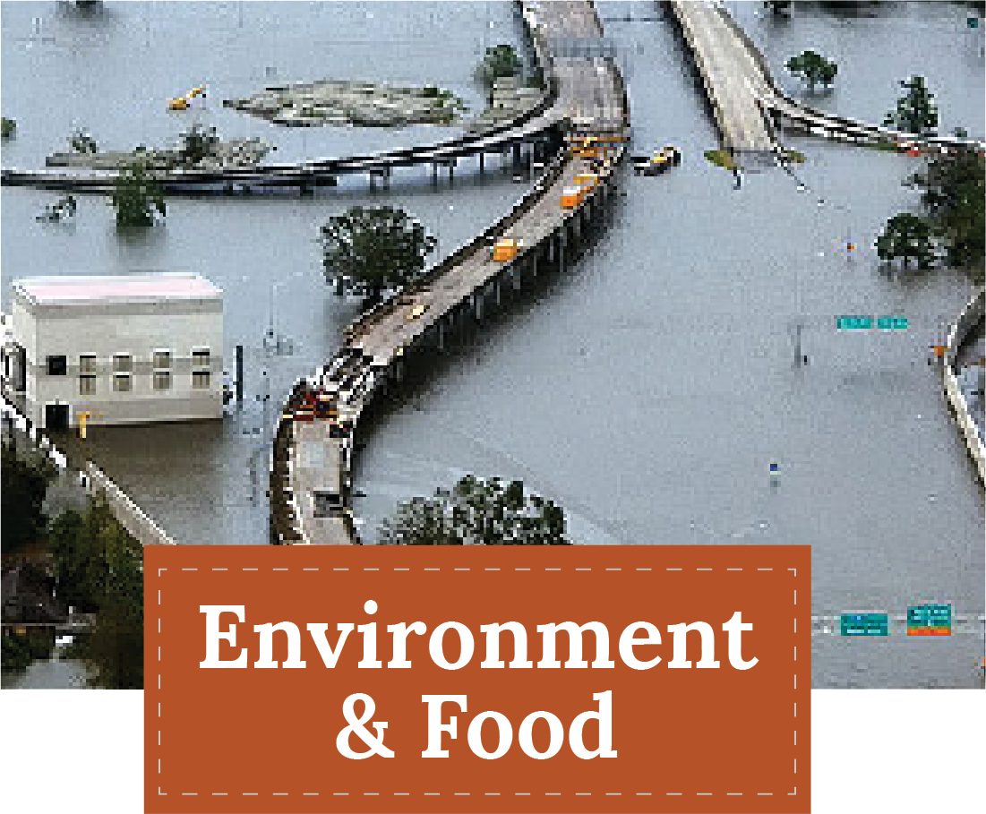 Theme: Environment and Food | Zinn Education Project - Zinn Education ...
