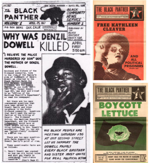 What We Don’t Learn About the Black Panther Party — but Should - Zinn ...
