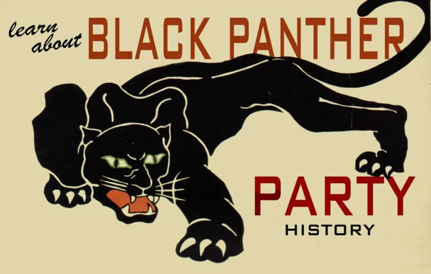 Body and Soul: The Black Panther Party and the Fight against Medical ...