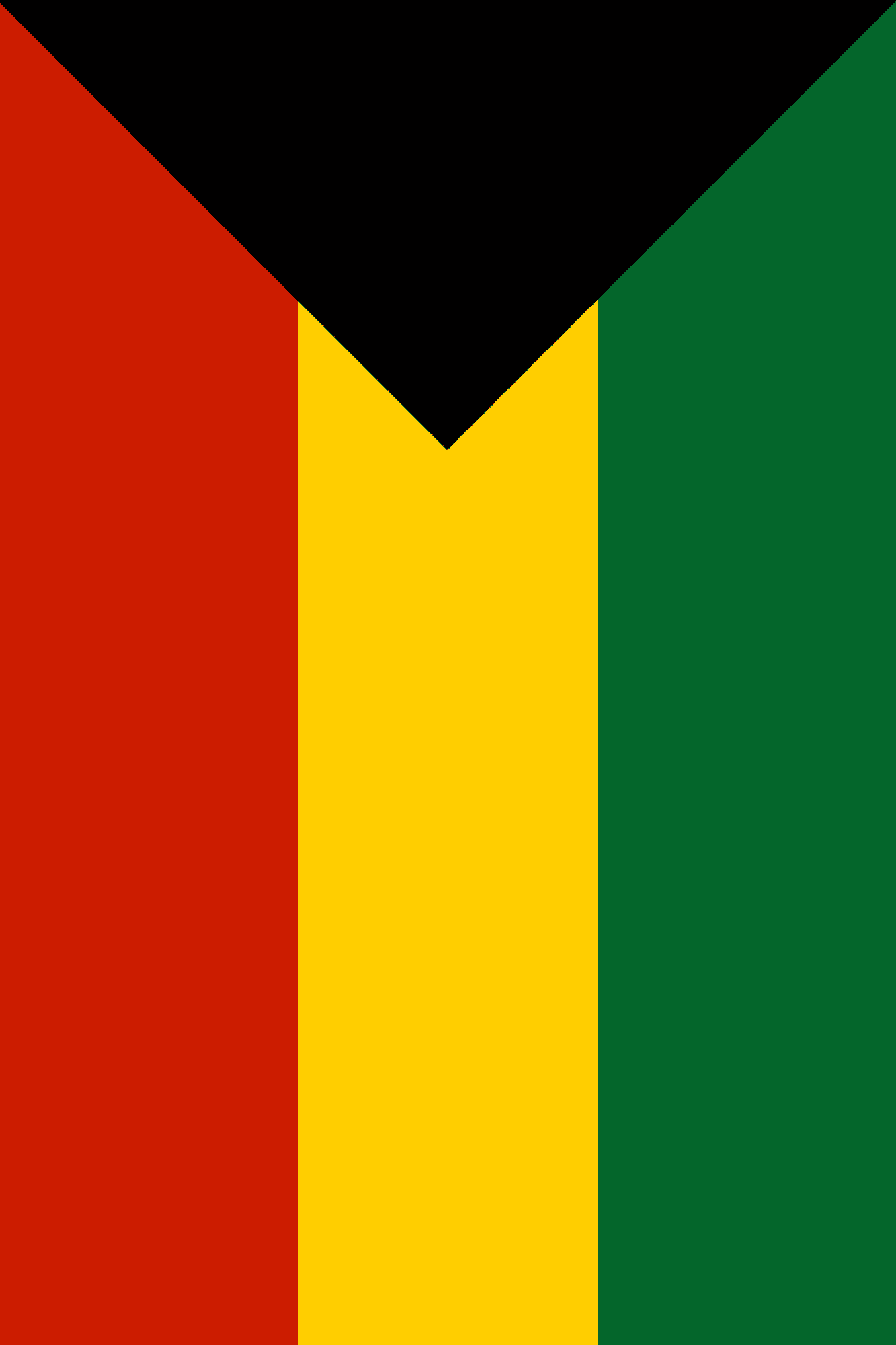 Pan Africanism - Zinn Education Project