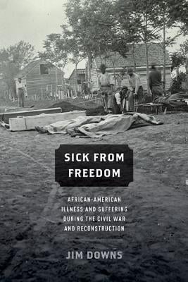 April 23, 1866: Freedmen Demand Equal Medical Treatment - Zinn ...