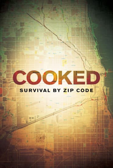 Cooked Survival By Zip Code cover - Zinn Education Project