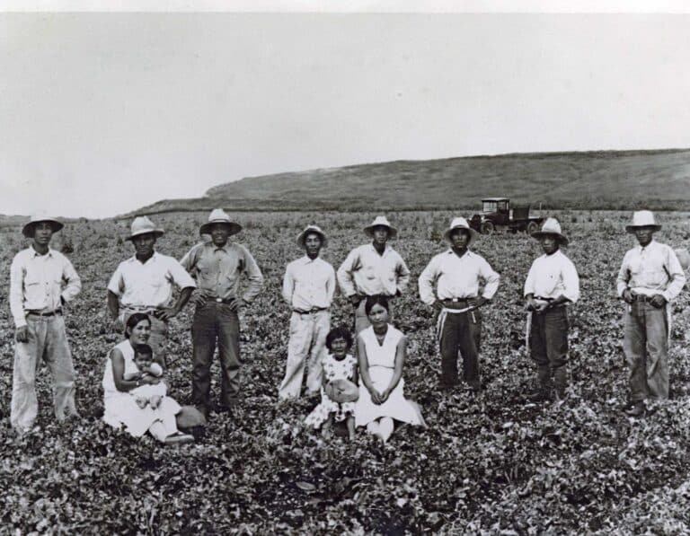 May 3, 1913: California’s Alien Land Law Enacted - Zinn Education Project